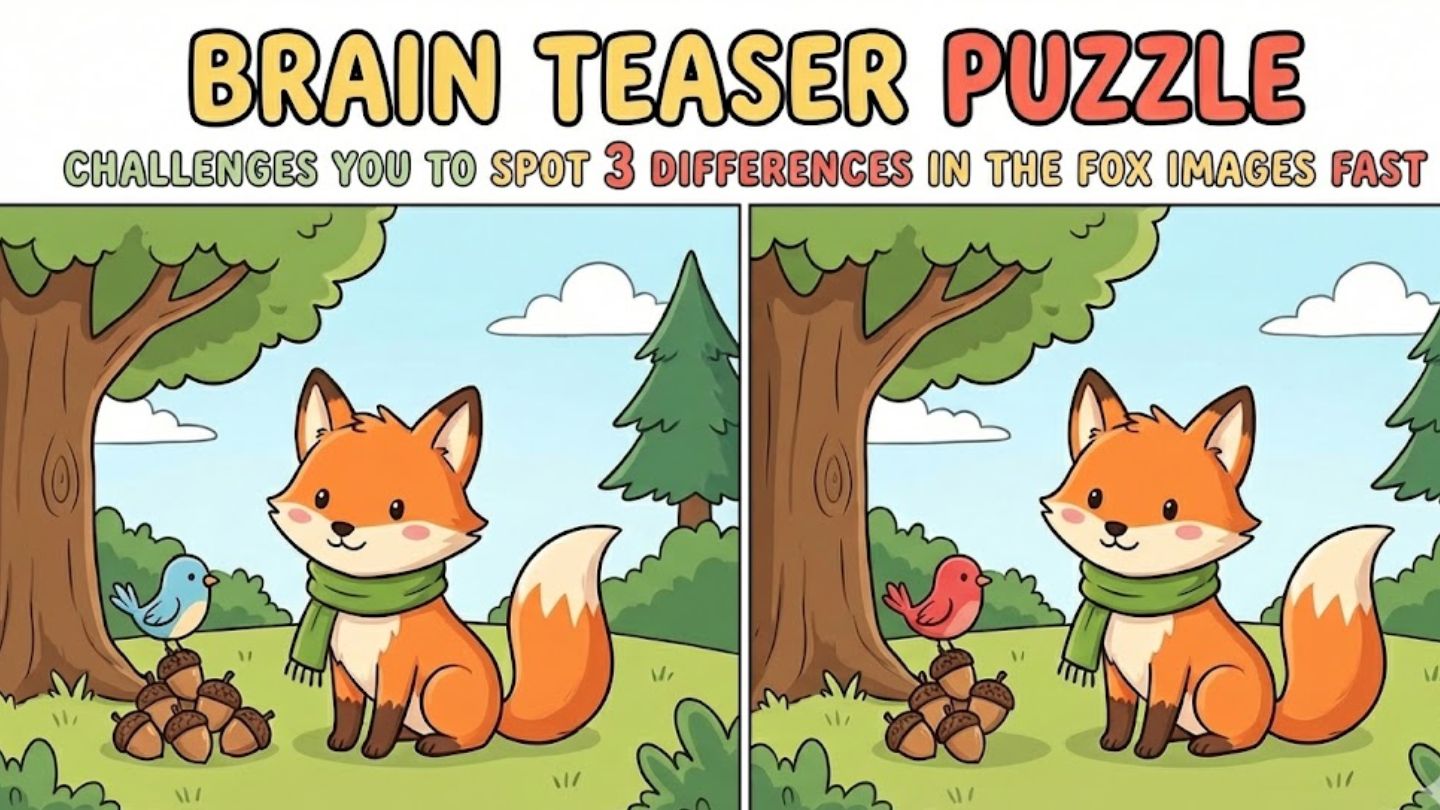 Brain Teaser Puzzle Challenges You to Spot 3 Differences in the Fox ...